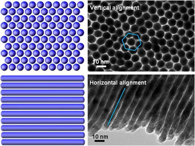 Temperature and chemical bonding-directed self-assembly of cobalt ...