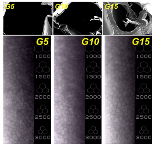 Characterization Of Cross Linked Porous Gelatin Carriers And Their