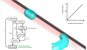 A combined Lattice-Boltzmann method for the simulation of two-phase ...