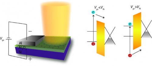Graphene as transparent electrode for direct observation of hole ...