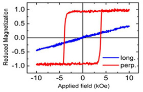 Intra-grain perpendicular percolated L11 CoPt thin films