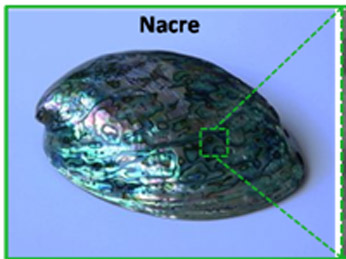 Binary Synergy Strengthening and Toughening of Bio-Inspired Nacre-like ...