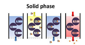 Liquid-Phase Synthesis of 2'-Methyl-RNA on a Homostar Support through ...