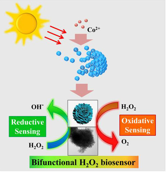 Photochemical Green Synthesis of Nanostructured Cobalt Oxides as ...