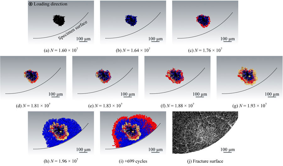 Non Destructive Observation Of Internal Fatigue Crack Growth In Ti 6al 4v By Using Synchrotron