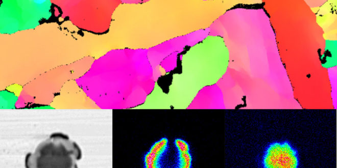Ferrite Formation Dynamics and Microstructure Due to Inclusion ...
