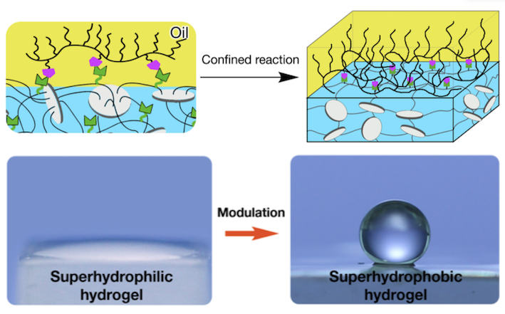 Superhydrophobic Diffusion Barriers for Hydrogels via Confined ...