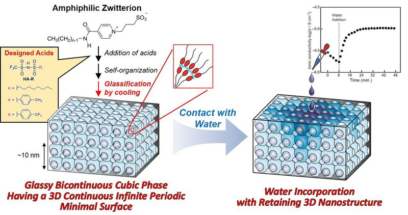 Development of Glassy Bicontinuous Cubic Liquid Crystals for Solid ...