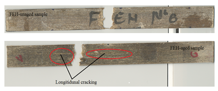 Hygrothermal Effects on Fatigue Behavior of Quasi-isotropic Flax/Epoxy ...