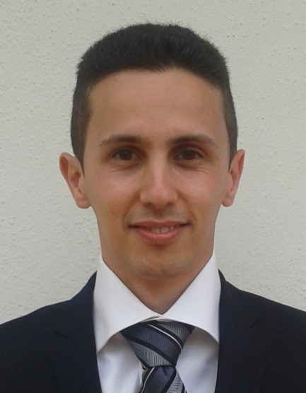 A novel methodology for the assessment of the residual elastic ...