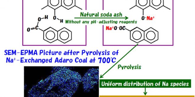 Steam Gasification of Low-Rank Coals with Ion-Exchanged Sodium ...