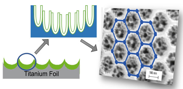 Self-ordering dual-layered honeycomb nanotubular titania: Enhanced ...