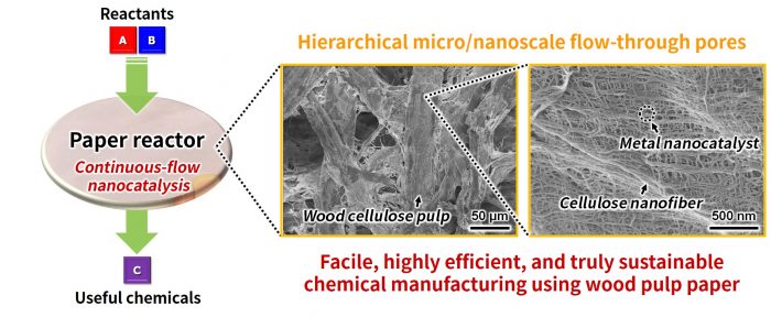 Renewable Wood Pulp Paper Reactor with Hierarchical Micro/Nanopores for ...
