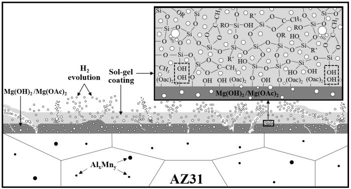 Effect of catalyst concentration, immersion time and aging time on ...