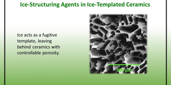 Investigations of ice-structuring agents in ice-templated ceramics ...