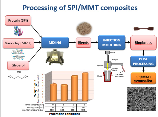 Evaluation of injection moulding conditions in soy/nanoclay based ...