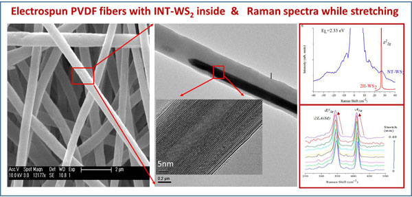 Raman scattering from single WS2 nanotubes in stretched PVDF ...