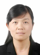 Development of Low Interfacial Tension Foam for Enhanced Oil Recovery ...