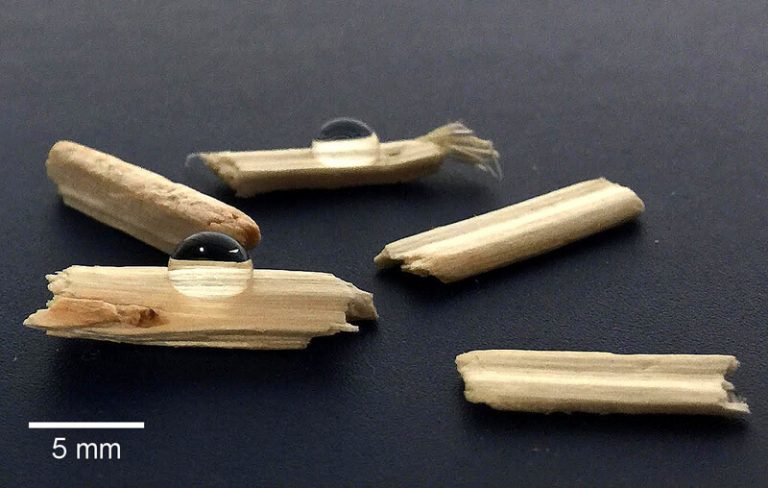 Hydrophobic hemp shiv aggregates using a facile one-step silica based ...