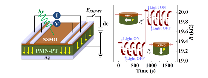 Manganite-based multiferroic heterostructure towards an intriguing ...