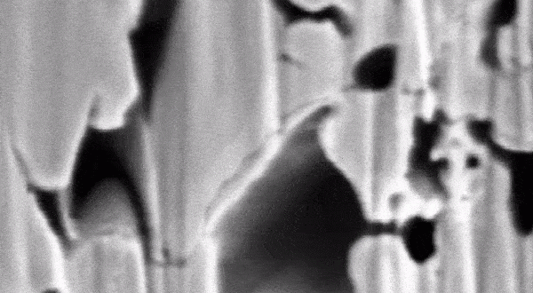 FIB-SEM Sectioning Study of Decarburization Products in the ...