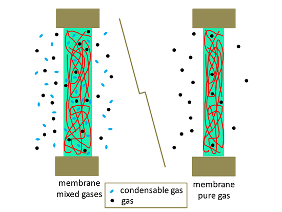 Molecular insight on gas transport in polymer membranes unveiled by NMR ...