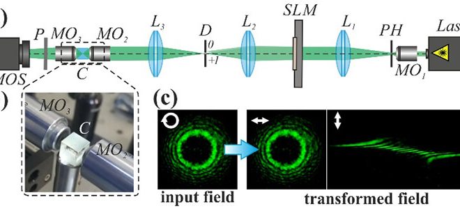 Polarization-dependent transformation of vortex beams by the ...