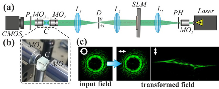 Polarization-dependent transformation of vortex beams by the ...