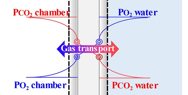 Underwater oxygen extraction for realizing artificial grills - Advances ...