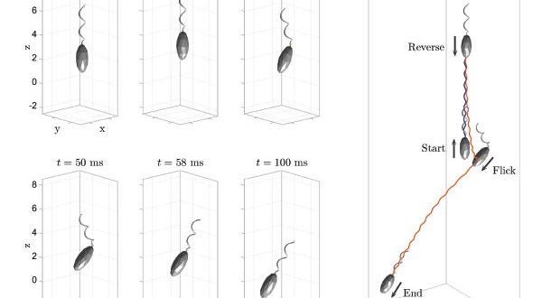 Locomotion of a single-flagellated bacterium - Advances in Engineering