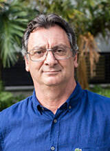 Coordination Polymers Under Pressure - Advances in Engineering