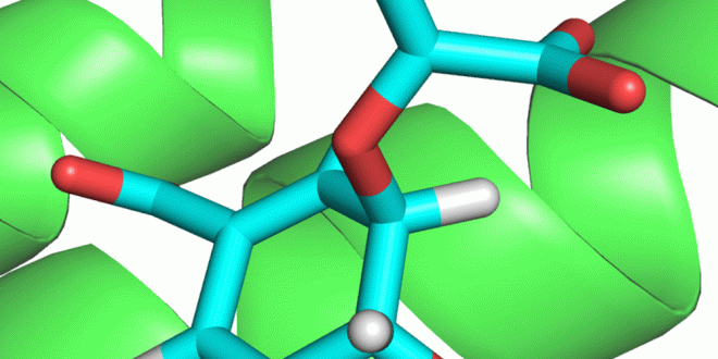 Dispelling entropic mystery may rationalize enzyme design: the case of ...