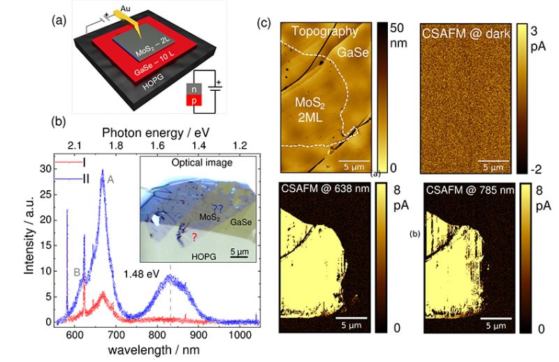 Probing interlayer excitons in a vertical van der Waals p-n junction using a scanning probe ...