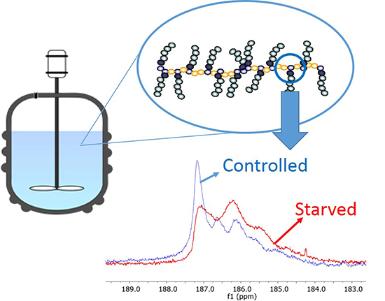 Modelling and control of the microstructure of comb-like poly (MAA-co-PEGMA) water-soluble ...