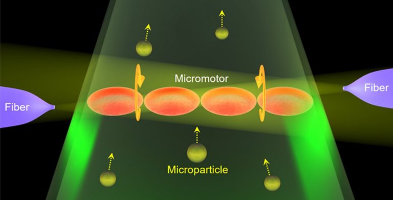Living Biosensor and Micromotor in vivo - Advances in Engineering