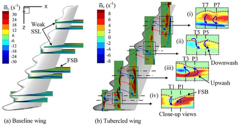 Leading-edge tubercles delay flow separation for a tapered swept-back ...
