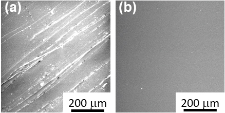 Transparent Omniphobic Coating with Glass-Like Wear Resistance and ...
