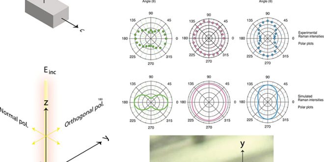 Single crystals of zeotypes studied by polarized Raman spectroscopy ...
