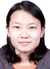 A resolved CFDEM method for the interaction between the fluid and the ...