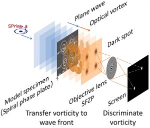X-ray microscope for imaging distribution of spiral structures inside ...