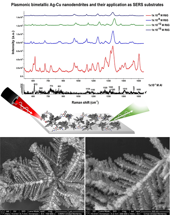 preparation of highly efficient SERS substrates based on plasmonic ...