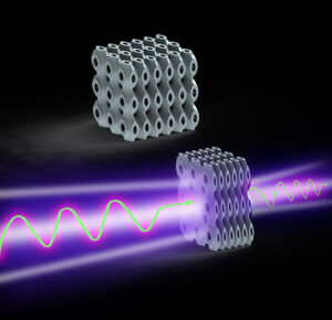 Acoustic Switch via a Compressible Minimal Surface Structure - Advances ...