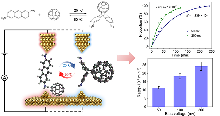 Breaking Barriers: In-Situ Label-Free Technique Unveils Dynamics of ...
