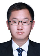 Crushing behavior and energy absorption of a bio-inspired bi ...