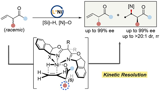 Chiral Catalyst Breakthrough: Pioneering the Kinetic Resolution of ...