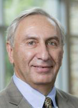 Engineering the Mechanics of Life: Mimicking Biological Networks with Synthetic Hydrogels ...