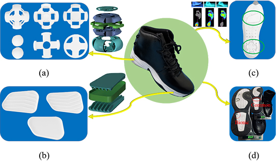 Biomimetic Design for Enhanced Shock Absorption in Sports Footwear ...