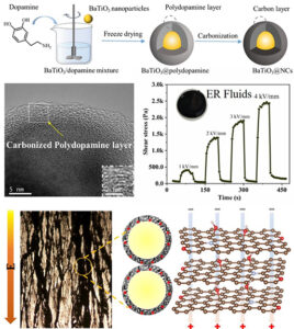 Enhancing Electrorheological Fluid Performance through Barium Titanate ...