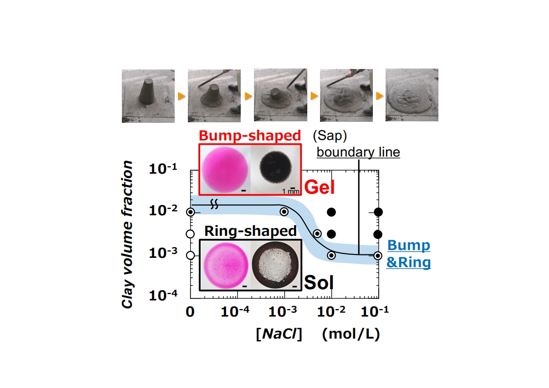 Influence of Sol–Gel Transitions on Drying Morphologies in Smectite ...