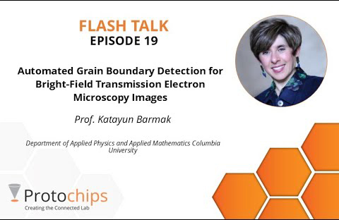 Advancing the Study of Grain Growth Dynamics in Thin Films: Real-Time ...